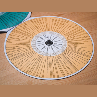 PRO Word Wheel Book (for teens and adults)