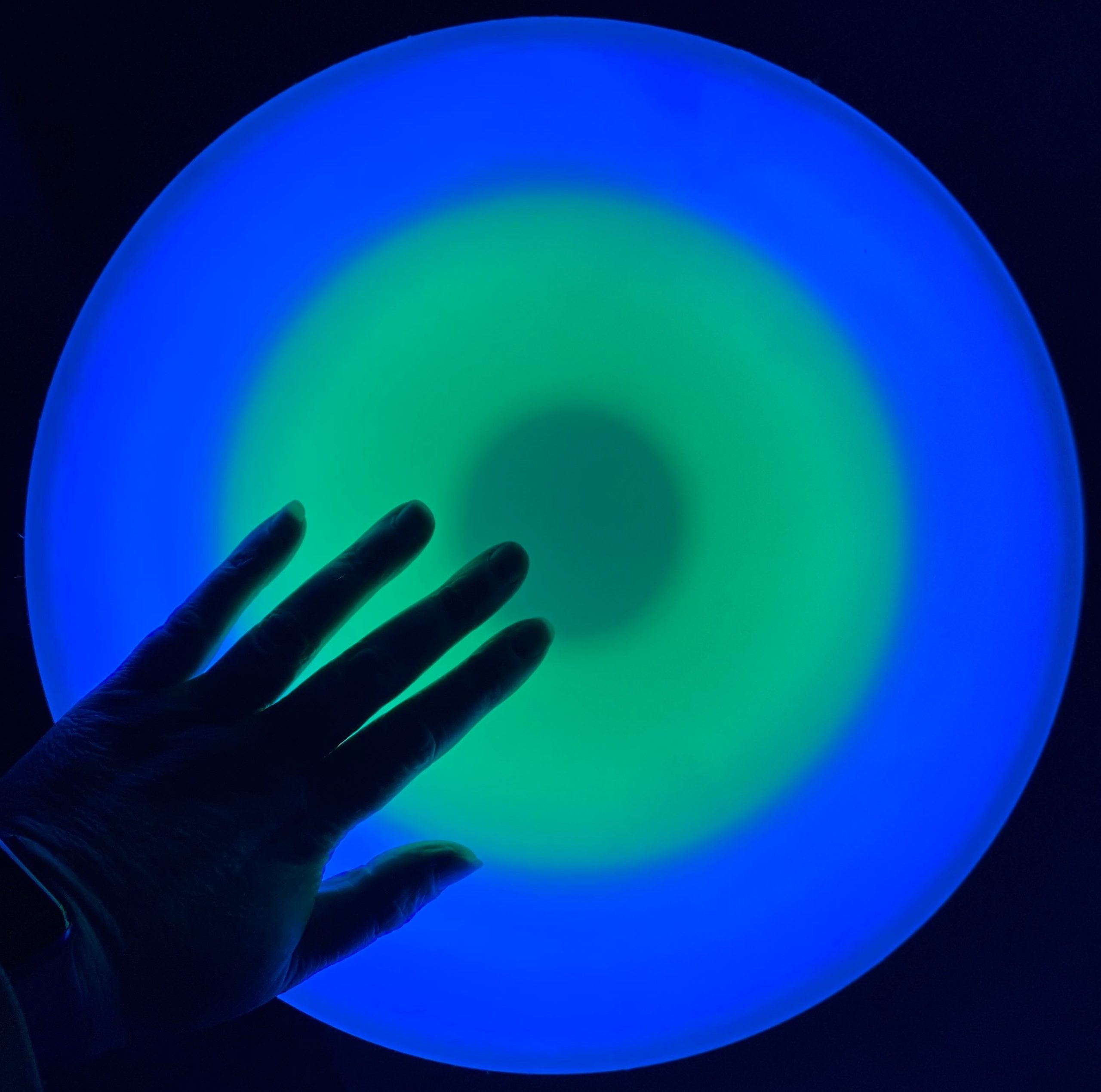 Interactive Round Wall and Floor Tile (30cm) incl. Adaptor
