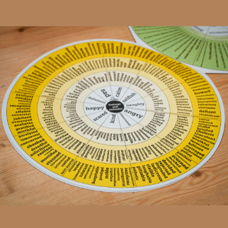 PRO Word Wheel Book (for teens and adults)